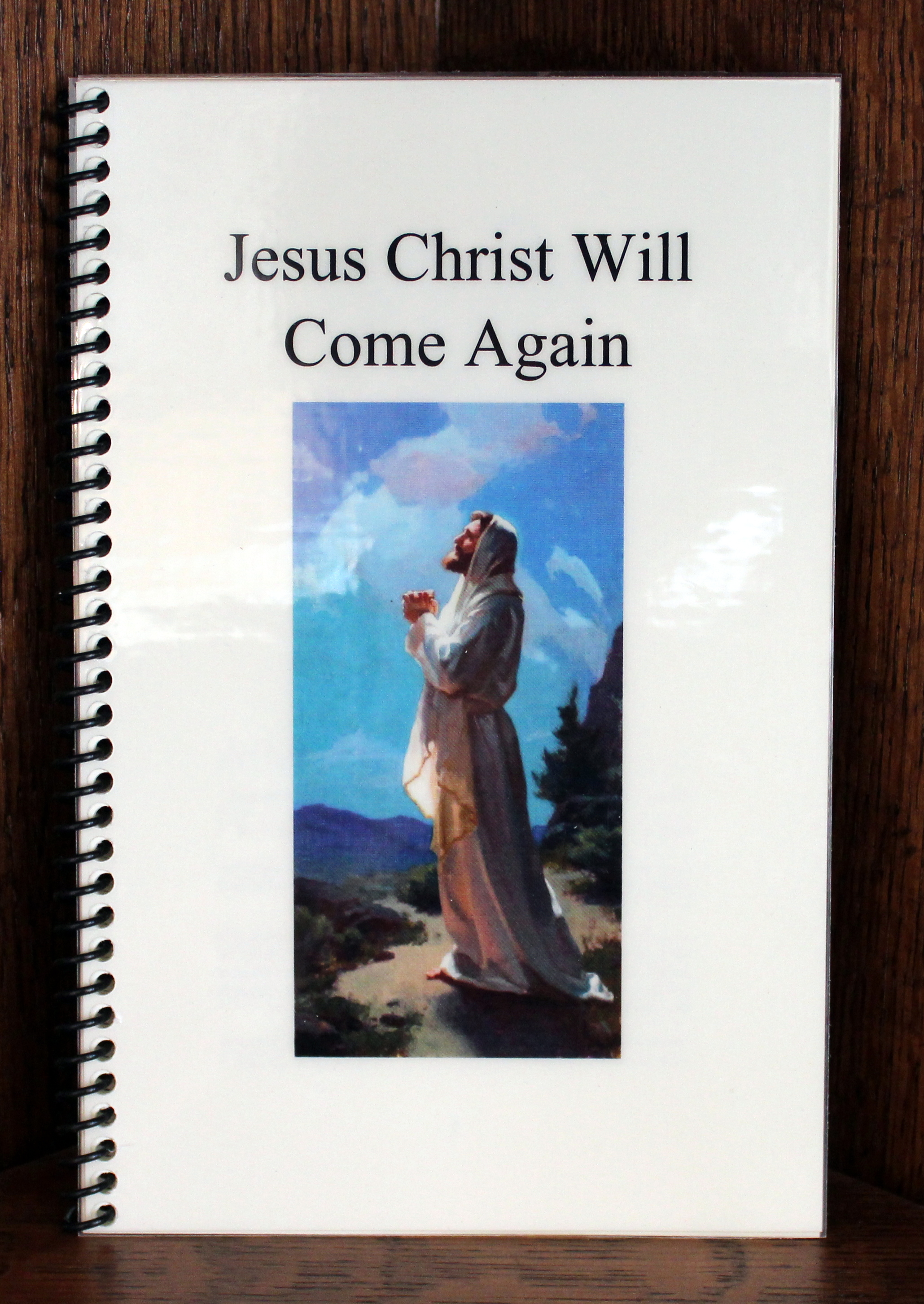 Faith in the Lord Jesus Christ – Books for Children by Elizabeth Anne ...